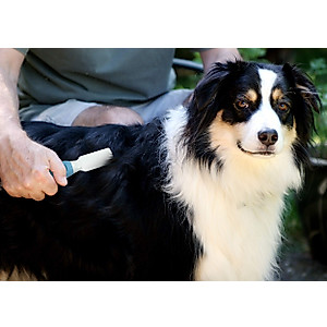 Pets First Professional Pet Mat Remover - Dematting Tool for Grooming Cats & Dogs - Removes Matted Fur, Tangles, Knots, Loose Hair & Dirt - Stainless Steel, Gentle Teeth, Soft Comfort Grip Handle,Blue