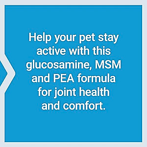 Life Extension Dog Hip & Joints - Dog Health Supplement for Joint Health and Joint Comfort - Glucosamine, MSM, Pea, Beef Flavor - 90 Soft Chews