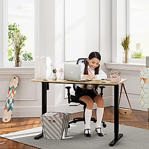 Meilocar Height Adjustable Electric Standing Desk, Sit Stand Computer Desk with Memory Controller, Home Office Desk Computer Workstation 48" x 24" Tabletop (White Top + White Frame)