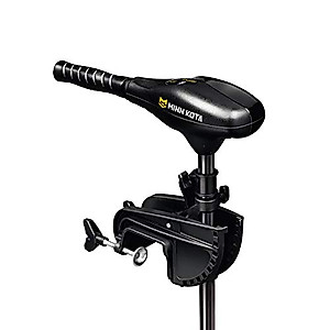 Minn Kota Endura C2 55 Freshwater Transom Mounted Trolling Motor (42" Shaft)