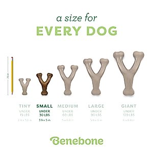 Benebone Wishbone Durable Dog Chew Toy for Aggressive Chewers, Real Peanut, Made in USA, Small, for Any breed