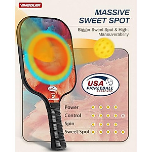 VINSGUIR Pickleball Paddles Set of 2, USAPA Approved Fiberglass Surface, Pickleball Rackets with Balls and Bag, Gifts for Women & Men