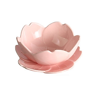 123Arts Sakura Bowl Saucer Set, Ceramic Relief Dessert Bowl Soup Bowl Salad Plate Set