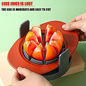 Fruit Cutter Slicer,Telawah 4 in 1 Mango Corer Slicer Apple Corer Cutter Remover Tomato Wedges Fruit & Vegetable Cutter Easy Kitchen Tool with Fruit Knife.