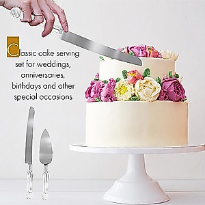 Homi Styles Cake Knife and Server Set | Acrylic Faux Crystal Handles & Premium 420 Stainless Steel Blades | Cake Cutting Set for Wedding Cake, Birthdays, Anniversaries, Parties (Crystal Silver)