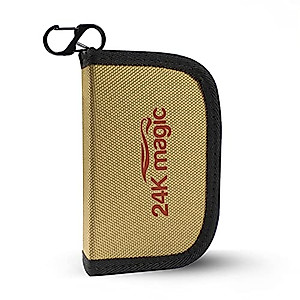 Wenod Daily Carrying Bag with Buckle, Deluxe Five One Zero Carrying Case and Charger Set Without Device,Champagne Gold.