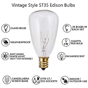 SUNSGNE 25Ft Outdoor String Lights with 27 Edison Bulbs (2 Spare), Waterproof Connectable ST35 String Light for Backyard Porch Balcony Party Decoration, E12 Socket Base, Black Wire