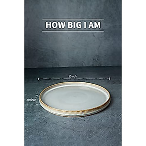 famiware Star Dinner Plates for 6, 10 inches Plate Set, Scratch Resistant, Stoneware Dinnerware, Kitchen Modern Rustic Serving Dishes, Cappuccino White