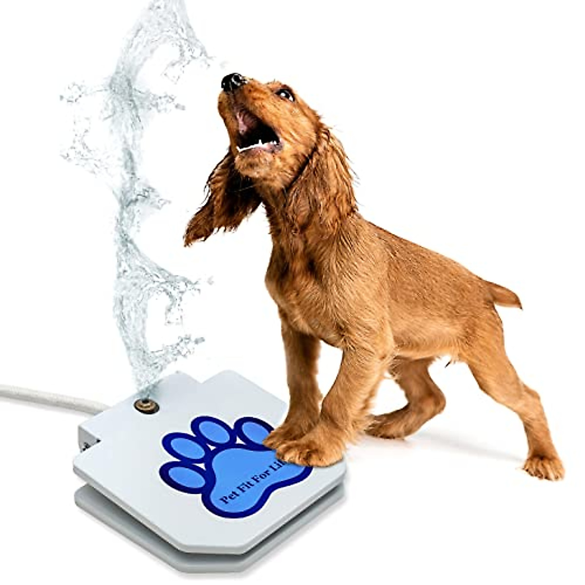 Pet Fit For Life Dog Pedal Water Fountain - Step-On Dog Sprinkler/Water Hose Dog Toy for Drinking and Water-Play, Includes Giant Tennis Ball