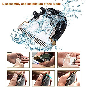 Pet Shaver Clippers Low Noise Rechargeable Cordless Electric Quiet Hair Clippers Set for Dogs Cats Pet