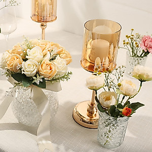 MAGICLUB 120,000 Clear Super Absorbent Polymer Beads, Round, Non-Toxic for Vase Filler, Soilless Planting, Wedding Centerpiece Floral Arrangement