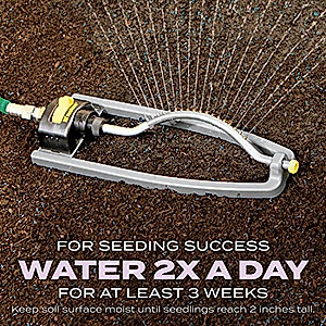 Scotts Turf Builder Grass Seed Perennial Ryegrass Mix with Fertilizer and Soil Improver, Establishes Quickly, 2.4 lbs.