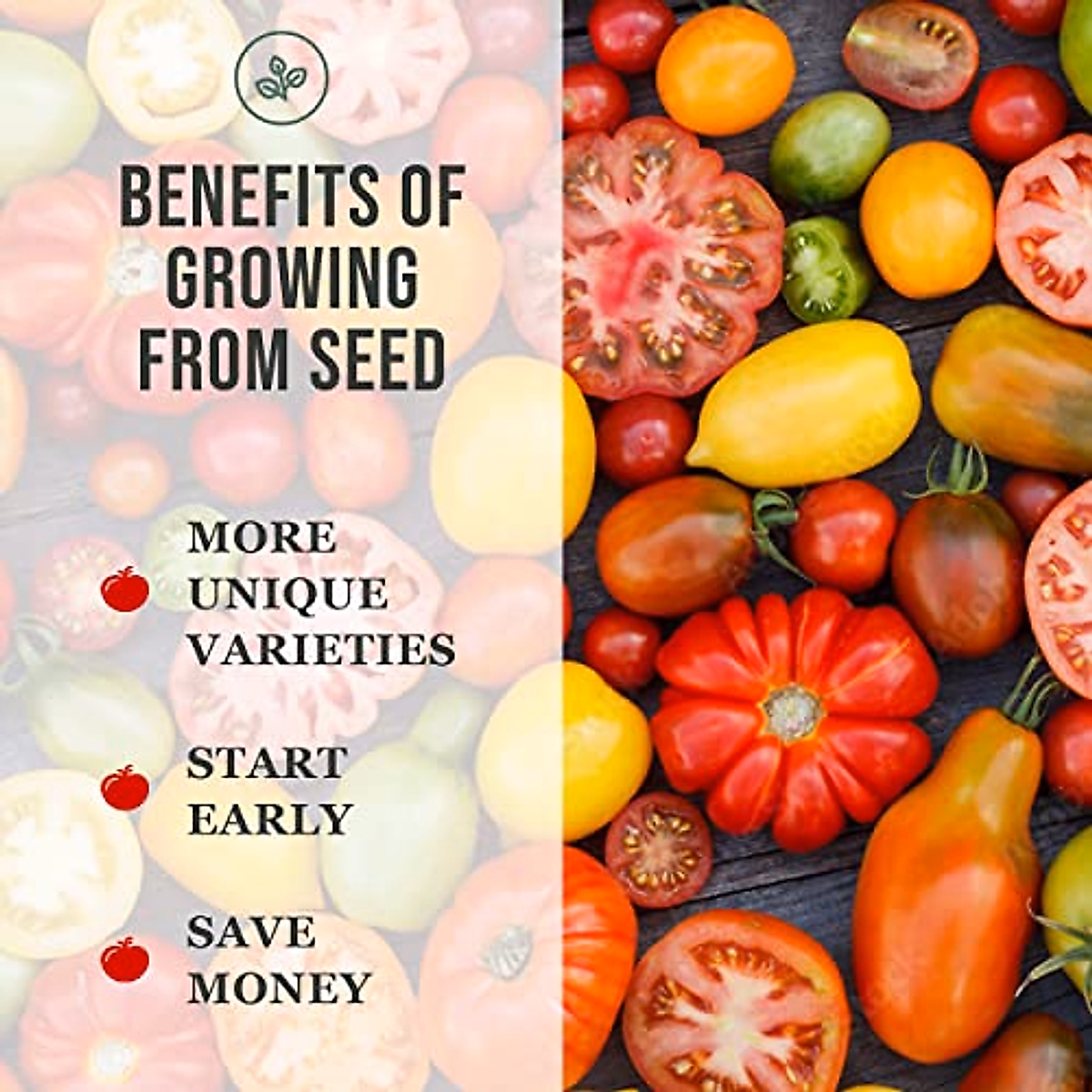 Sow Right Seeds - Rio Grande Tomato Seed for Planting - Non-GMO Heirloom Packet with Instructions to Plant a Home Vegetable Garden - Great Gardening Gift (1)