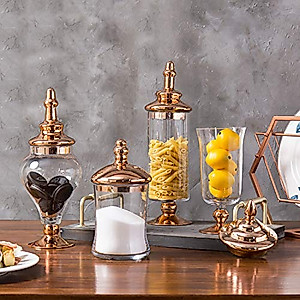 MyGift 4pcs Clear Glass Apothecary Jars with Metallic Copper-Tone Lids