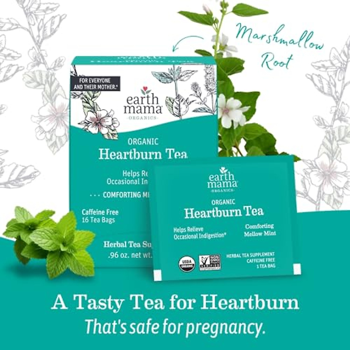 Earth Mama Organic Heartburn Tea | Pregnancy-Safe Soothing Herbal Blend with Marshmallow Root, Lemon Balm & Chamomile, 16 Teabags Per Box (3-Pack)