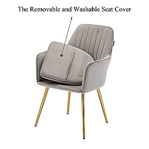 Artechworks Velvet Modern Living Dining Room Arm Chair Club Leisure Guest Lounge Bedroom Upholstered Chair with Gold Metal Legs, Gray