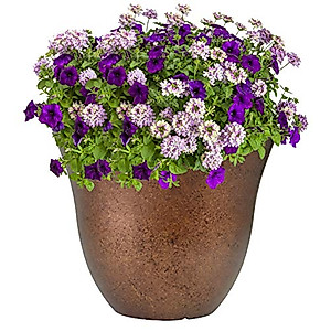 Classic Home and Garden Honeysuckle Patio Pot Garden Planter, Distressed Copper