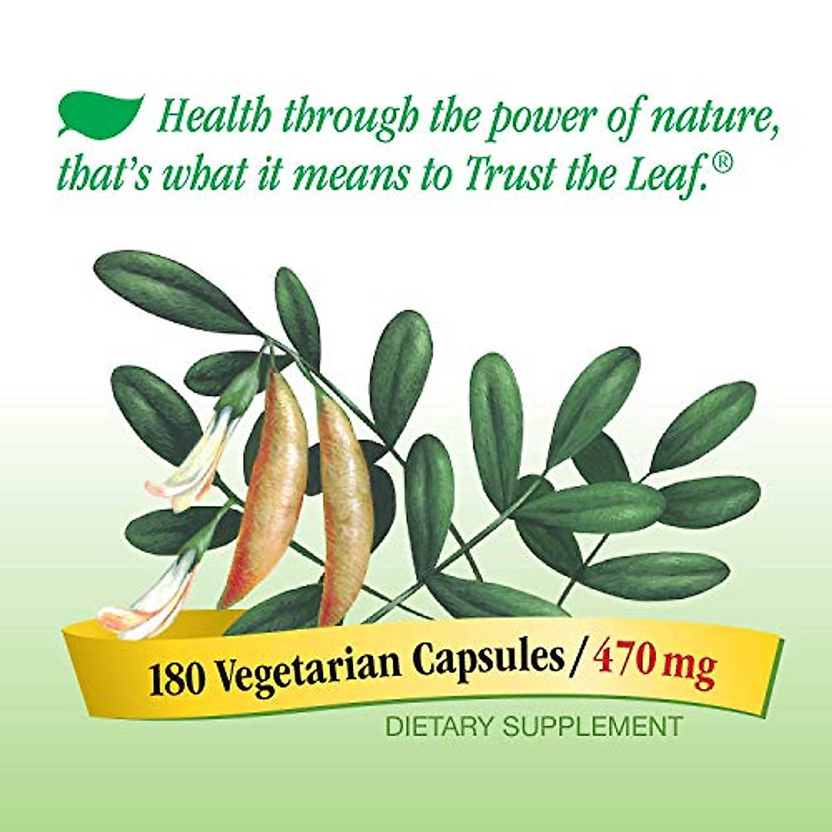 Nature's Way Astragalus Root, Traditional Immune Support*, Non-GMO Project Verified, Vegan, 180 Capsules