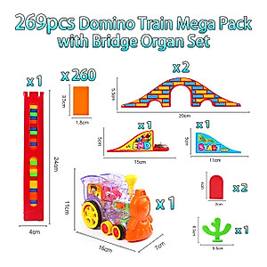 Wellin 260 pcs Blocks Domino Train Toy with Bridge Set Mega Pack Domino Game for 3-12 Years Old Boys Building Blocks Stacking Tile Games (260 pcs Domino Train with Bridge Set)