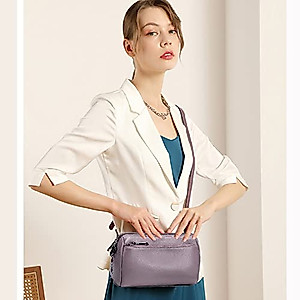 Lecxci Womens Small Leather Crossbody Bag, Zipper Clutch Phone Wallet Purse for Women (Y Light Purple -1)