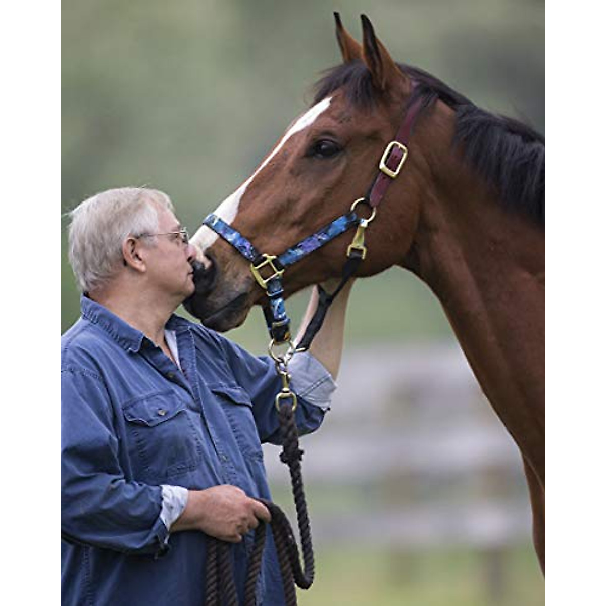 Cavalier King Charles Spaniel Art Print | Cav KC Gifts | From Original Painting by Ron Krajewski | Hand Signed Artwork in 8x10” and 11x14” Sizes