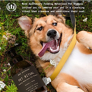 Muse Apothecary Pet Ritual Foaming Waterless Shampoo for Dogs, Waterless Dog Shampoo Foam, No Rinse Dog Shampoo, Waterless Dog Shampoo for Large Dogs - Essential Oils Infused, 11.5oz Lavender Fields