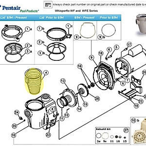 Swimables Pump Basket Compatible with Whisperflo & Intelliflo Pool Pump 070387-3X Durable Pro Grade Basket for Pentair Whisperflo Pump Pool Filter Basket - Small & Large Debris Pump Basket