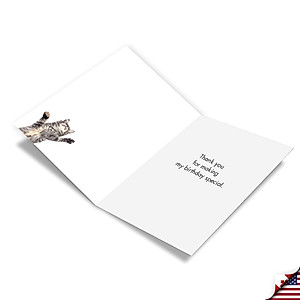 NobleWorks Birthday Thank You Paper Card with 5 x 7 Inch Envelope (1 Card) Cat Big Thanks C2368DTBG