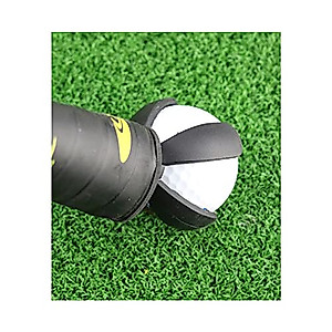 ProActive Sports Player Select Golf Ball Pick-Up for Putter Grip