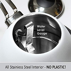 Chantal Mia electric water kettle, Brushed Stainless Steel, 32oz/4 cups