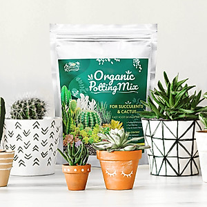 Sprout N Green Organic Potting Mix for Succulents Cactus, 2 Quarts Indoor Plants Soil, for Bonsai, Flowers, Vegetables, Herbs, Orchid, Premixed House Garden Grow Soil Blend Special Formulated