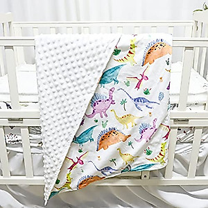 Baby Mink Blankets, Dinosaur Toddler Blanket for Boys Girls, Soft Newborn Blanket with Dotted Backing, Double Layer, Crib Receiving Blanket for Nursery, Shower Gifts, 30 X 40 Inches