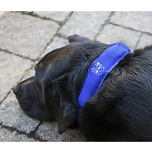 Arf Pets Dog Cooling Collar, 100% Non-Toxic Material, Relieves Heat Stress - Stays Cool for Hours