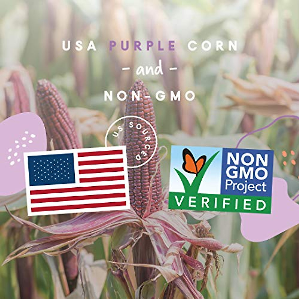 Manna Pro 7-Grain Ultimate Chicken Scratch - Scratch Grain Treat for Chickens and Other Birds - Non-GMO Natural Ingredients - 10 lbs