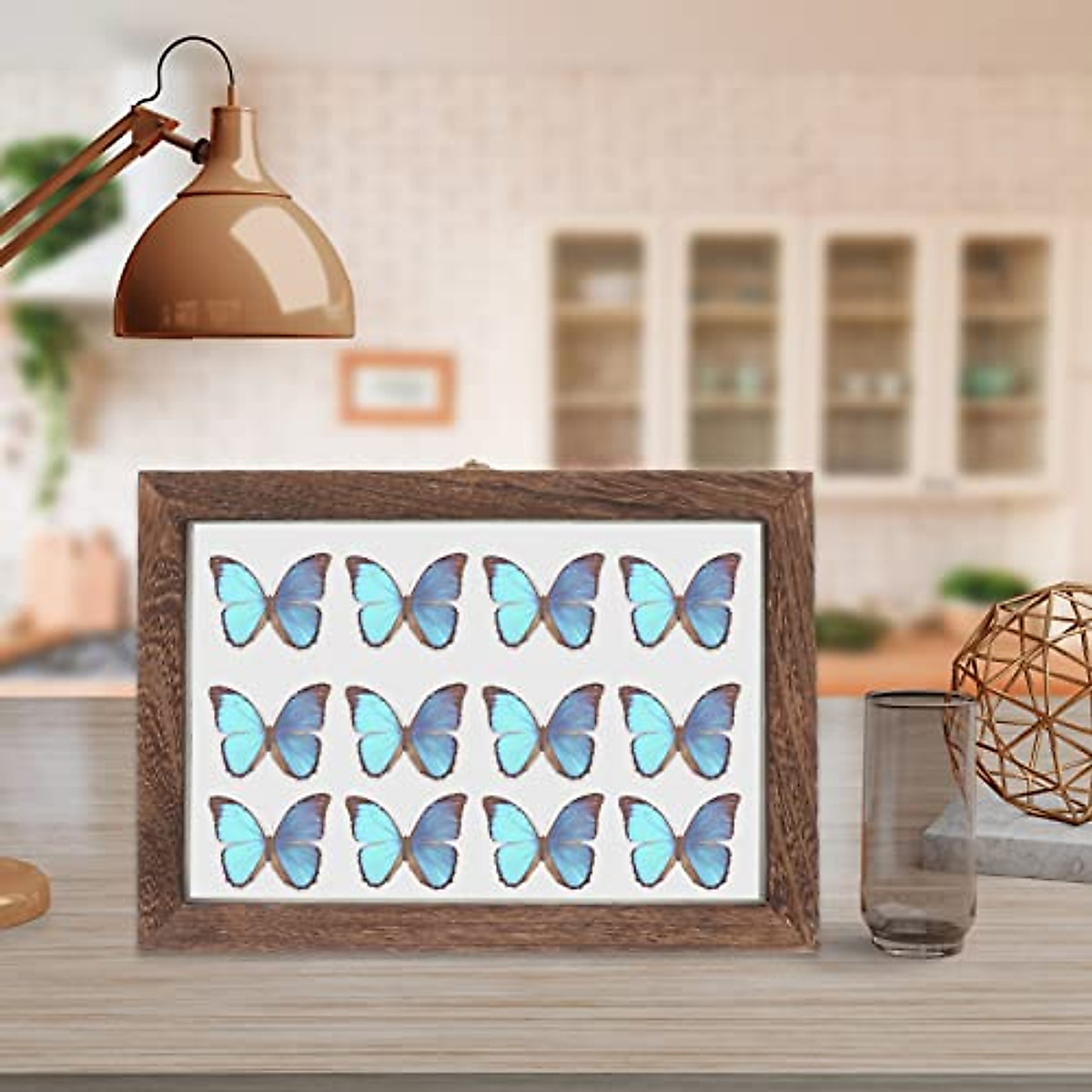 Cabilock Insect Display Case Wooden Bug Collection Box with Clear EVA Top Insect Shadow Box Insect Specimen Storage Box for Home