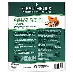 HEALTHFULS Heathfuls Digestive Support - Chicken and Pumpkin Recipe