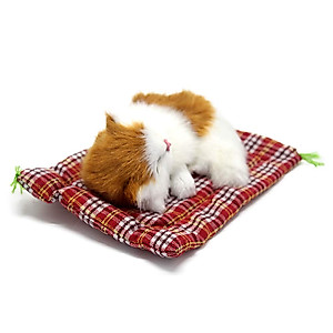 Coolayoung 2Pcs Sleeping Cat on Pad Doll Toy, Cute Mini Kitten on Pad with Meows Sounds Decor Hand Toy Gift for Kids Boys Girls