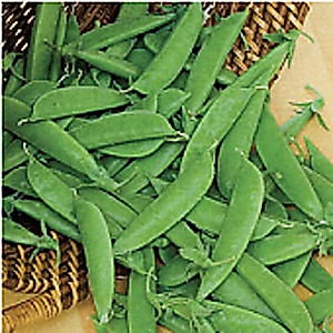 Super Sugar Snap Peas Seeds (20+ Seeds) | Non GMO | Vegetable Fruit Herb Flower Seeds for Planting | Home Garden Greenhouse Pack