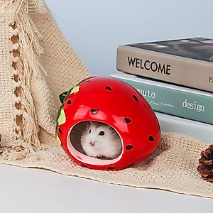 A/A Hamster Hideout Ceramic Pet House Cartoon Shape Hamster House Mini Hut Cage Critter Bath House for Chinchilla Hamster (Strawberry)
