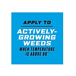 Groundclear Ortho Super Weed & Grass Killer, 24oz