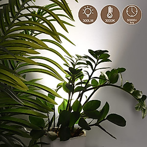 FZWLE 2 Pack Dimmable Indoor Spot Lights with Timer & Remote, 3W LED Up Lights, 3000K/4000K/5000K Adjustable, Ideal Indoor Accent & Plant Spotlight