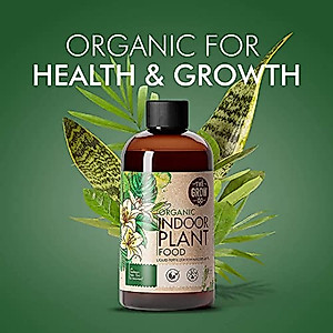 Organic Indoor Plant Food - All-Purpose Liquid Fertilizer - Best for Live Houseplants Indoors + Common Home Outdoor Plants in Pots (8 oz)