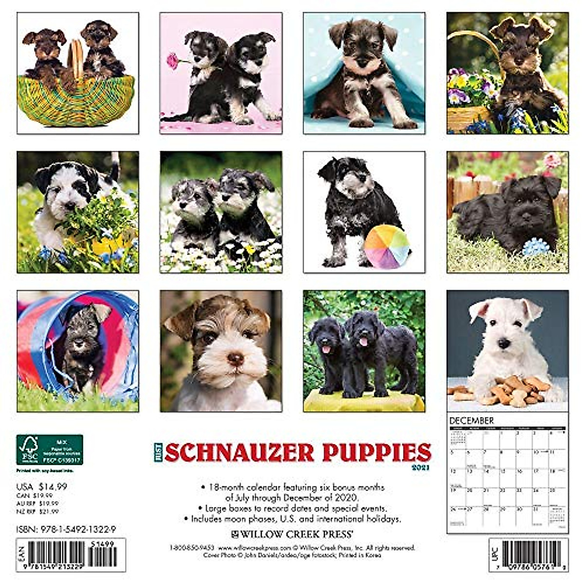 Just Schnauzer Puppies 2021 Wall Calendar (Dog Breed Calendar)