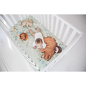 Rookie Humans 100% Cotton Sateen Fitted Crib Sheet: Enchanted Meadow. Modern Nursery, Use as a Photo Background for Your Baby Pictures. Standard Crib Size (52 x 28 inches)