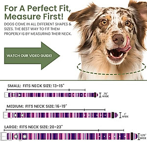 Rubyloo Waterproof Dog Collar | 100% Waterproof, Stink Proof, Odor Proof, Fade Proof, Dirt Proof | Easy to Clean, Soft & Flexible Yet Durable | Rust & Corrosion Resistant Zinc Alloy Buckle | Pink-M