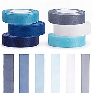 VGOODALL Blue Organza Ribbons, 6 Rolls Tulle Organza Ribbons 300Yd Sheer Chiffon Ribbons for DIY Crafts Gift Wrapping Winter Ocean Frozen Theme Decoration