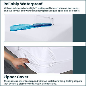 Spring Sleep, Ultra Soft-Premium Zippered Mattress Protector Cover, Water Proof, Breathable and noiseless, Fits Mattress 10 to 14-Inch, Twin, White