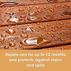 Furniture Clinic Teak Oil | Wood Oil Protects & Cleans Outdoor & Indoor Furniture, Boats, Shower Benches | Restore & Protect Wood, Prevent Drying & Other Damage | Natural Matte Finish | 17oz/500ml