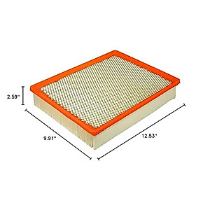 FRAM Extra Guard CA8756 Replacement Engine Air Filter for Select Cadillac, Chevrolet and GMC Models, Provides Up to 12 Months or 12,000 Miles Filter Protection