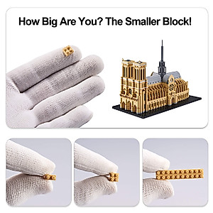 Kadablk Architecture Series Mini Bricks for Adults and Teens,France Notre Dame de Paris Mini Building Blocks Set,Micro Blocks Set,7380 PCS,Landmark Model